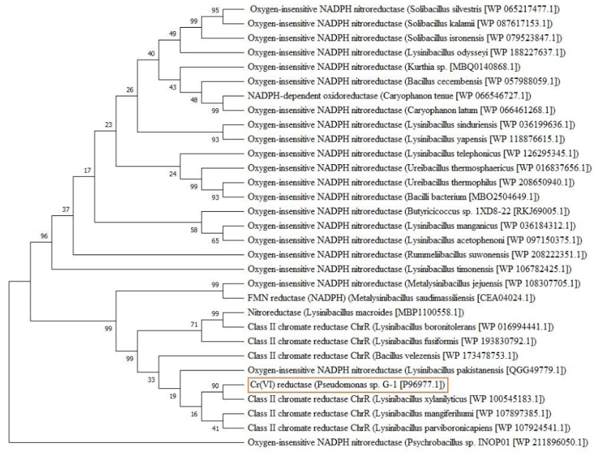 Production and Estimation of Ascorbic Acid in Biocatalytic Enzyme from Citrus Fruit Peels for ...